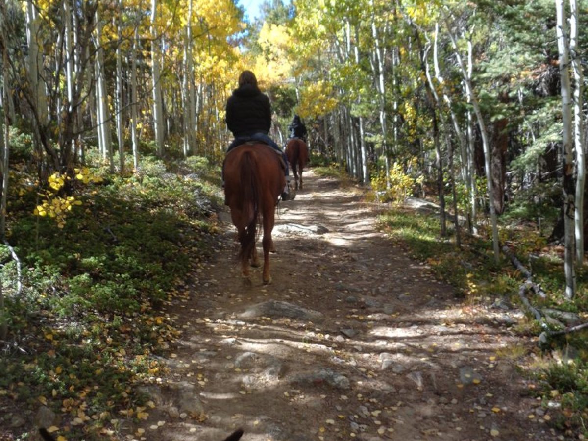 A&A Historical Trails | Guided Horseback Riding Tours near Idaho ...
